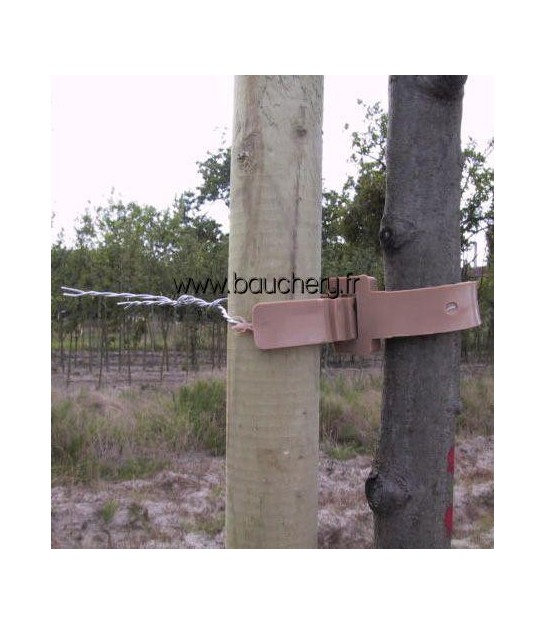 Colliers - Pépinières Bauchery