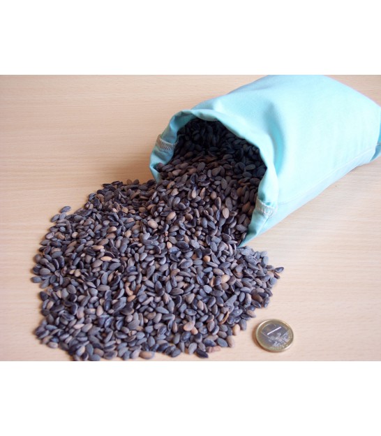 Graines forestières - Pépinières Bauchery