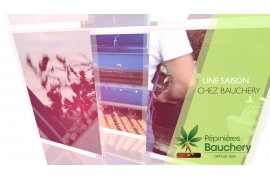 Jeunes plants, orchidées, outils de jardin - Pépinières Bauchery