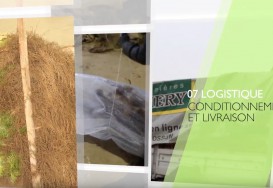 Producteur jeunes plants, arbres et arbustes - Pépinières Bauchery